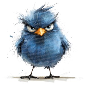 12x Quirky Bird Clip Art, Grumpy Blue Bird Watercolor, Printable ...