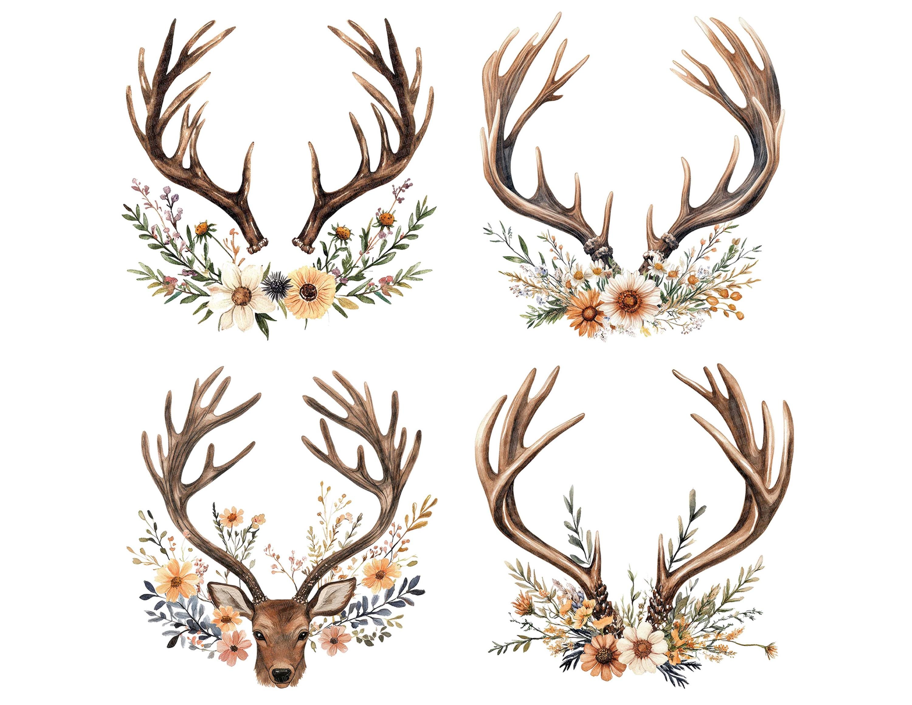 Deer Antler PNG Clipart, 12x Floral Antlers Clip Art Set, Printable ...