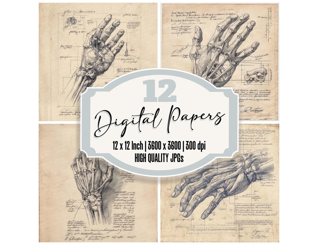 12x Human Hand Sketch Junk Journal Paper Tendons Drawing High Quality ...