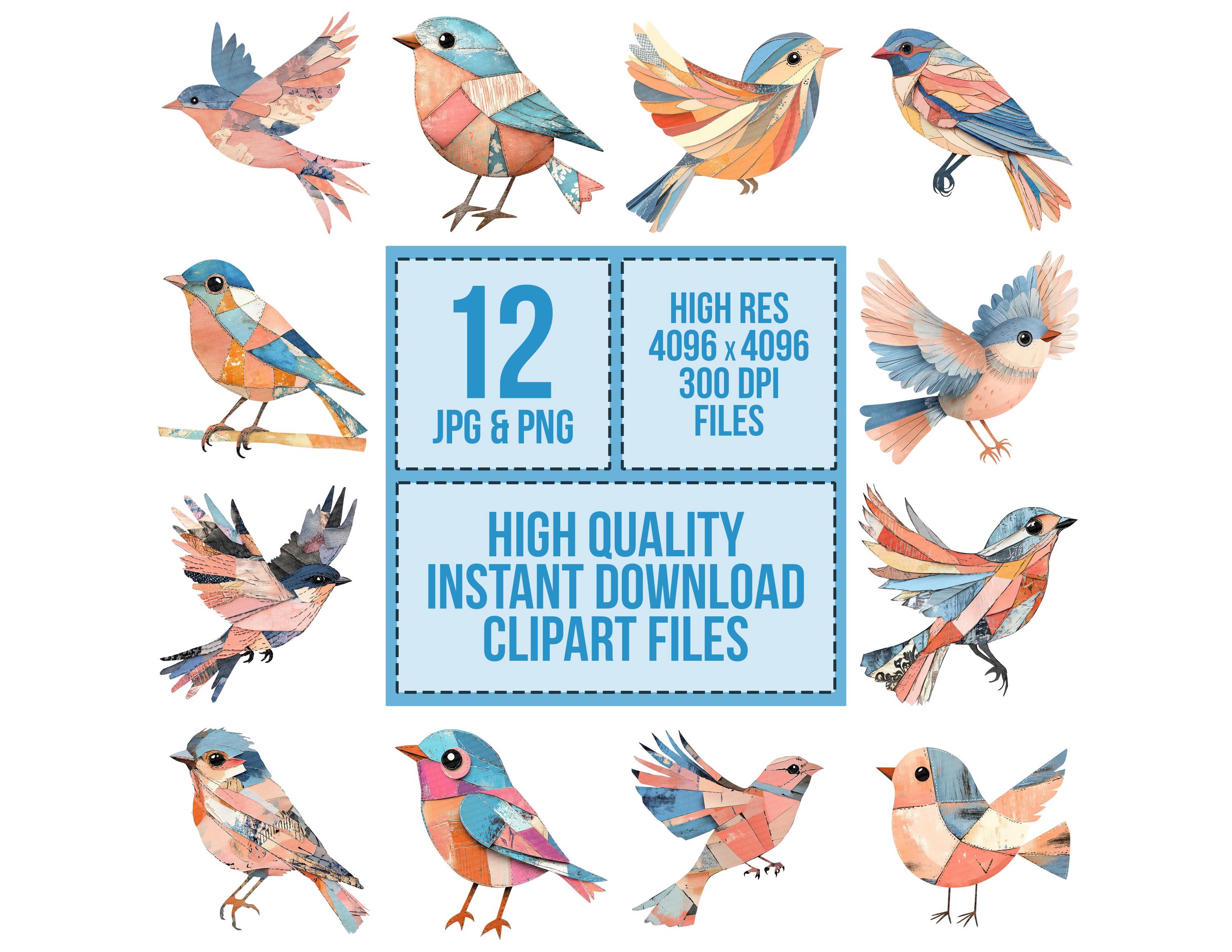 Paper Cut Bird Clipart, 12x Colorful Birds Clip Art Set, Printable ...