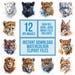 Wild Cats Clipart, Big Cats Watercolor Illustration, Printable Clipart ...