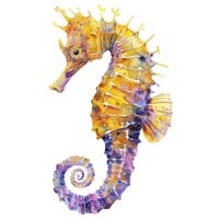 KPM Bright Sea Creatures Digital Clip Art - Etsy