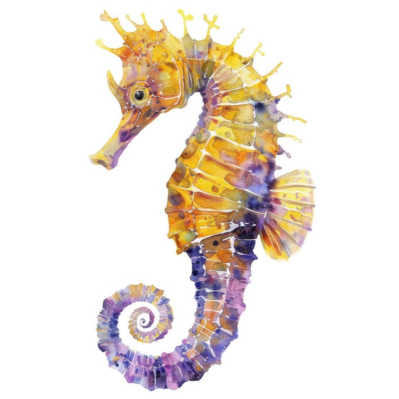 Watercolor Seahorse - Etsy