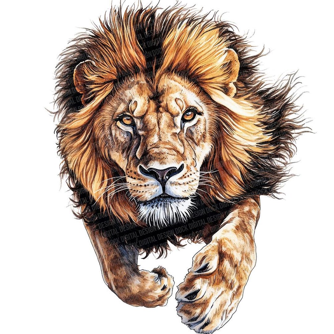 12x Watercolor Lion PNG Clipart, Wild Animal Pouncing Lion Clip Art ...