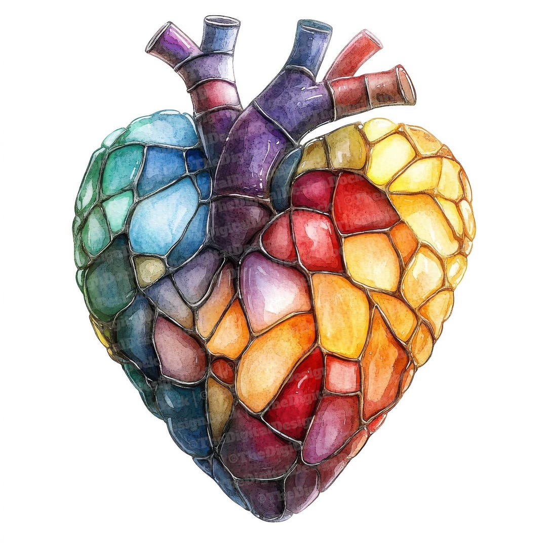 12 Stained Glass Heart Clipart, Watercolor Anatomical Heart, Rainbow ...