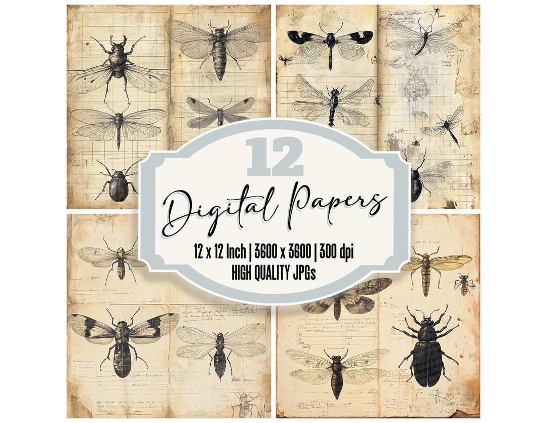 12x Aged Insect Study Junk Journal Paper Vintage Entomology Digital ...