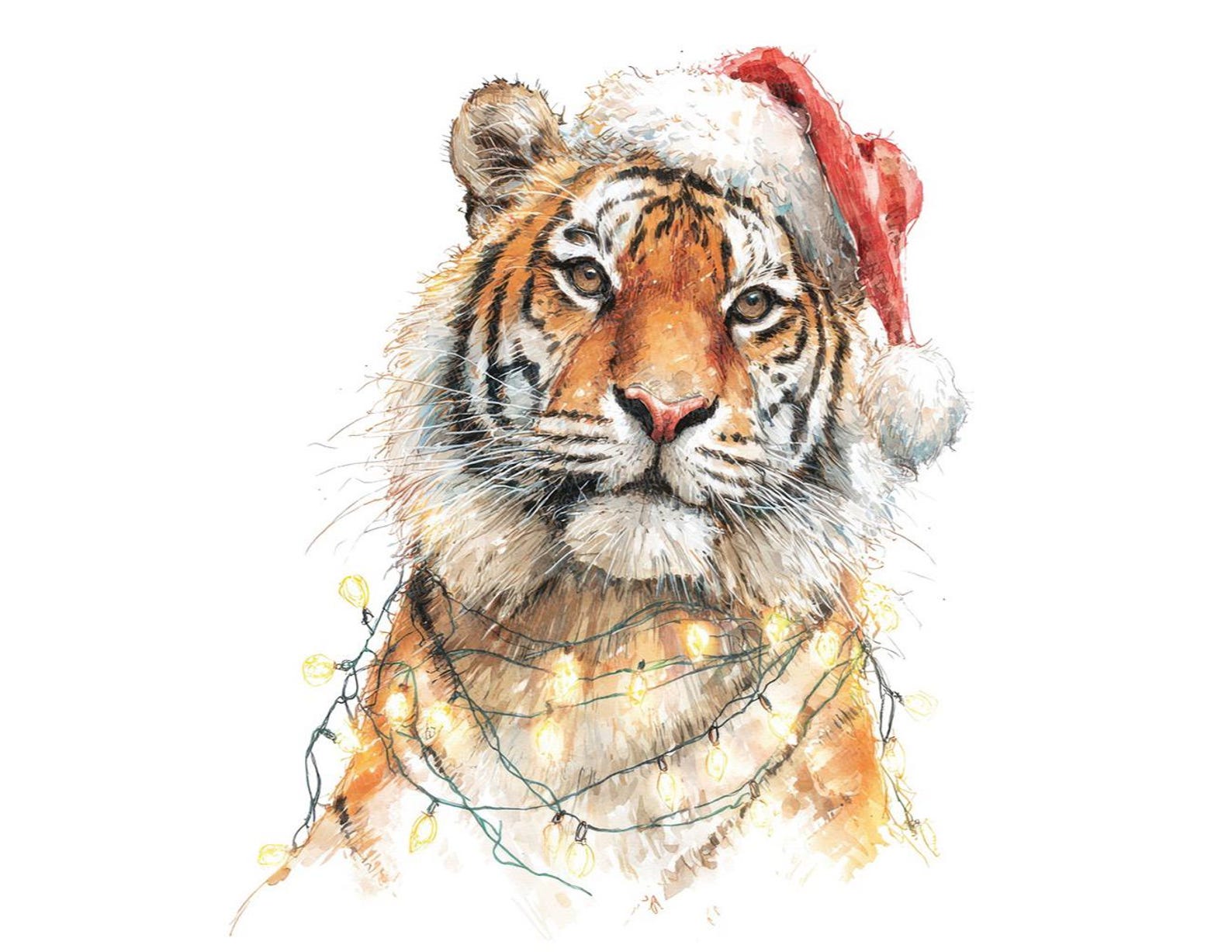 Christmas Tiger Clipart, 12x Santa Hat Tigers PNG, Printable Watercolor ...