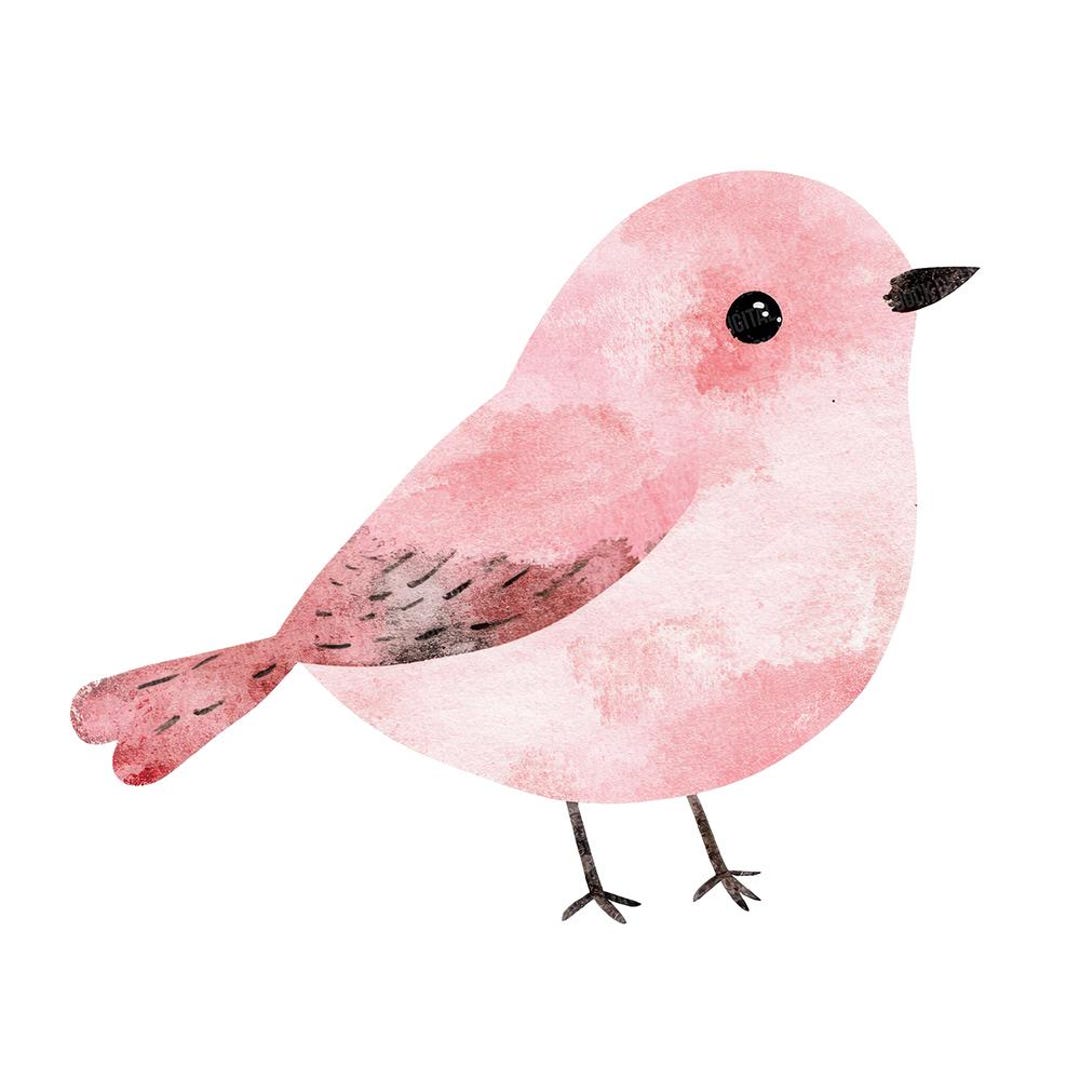 Pastel Pink Bird Clipart, 12x Watercolor Birds Clip Art Set, Printable ...