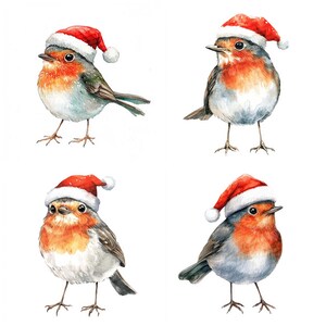 Robin Santa Hat PNG Clip Art, 12x Christmas Bird Watercolor Clipart Set ...