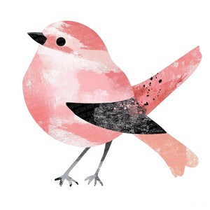 Pastel Pink Bird Clipart, 12x Watercolor Birds Clip Art Set, Printable ...