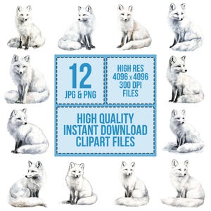 Arctic Fox PNG Clipart, 12x Winter Fox Clip Art Set, Printable ...