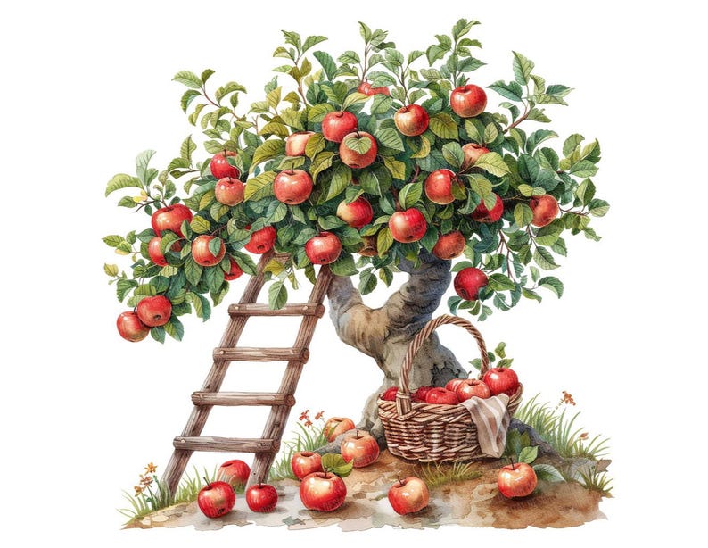 Apple Tree Harvest PNG Clipart, 12x Fall Fruit Clip Art Set, Printable ...