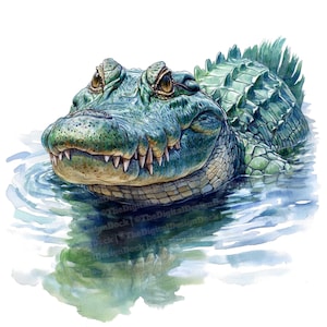 Alligator Clipart, 12x Watercolor Reptile Art, High Quality Jpgs ...