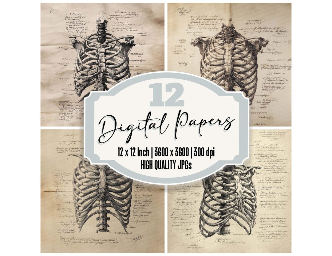12x Human Ribcage Spine Sketch Junk Journal Paper Anatomical Drawing ...