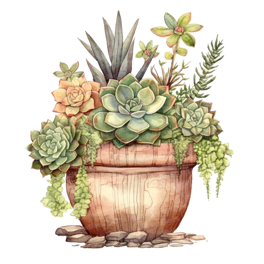 12x Potted Succulents Clipart, Pot Plants Floral Clipart, Printable ...