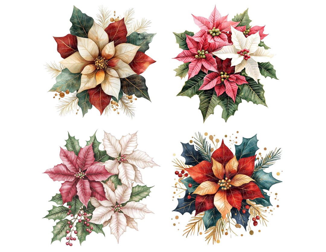 12x Poinsettia Clip Art, Festive Christmas Floral Set, Watercolor ...