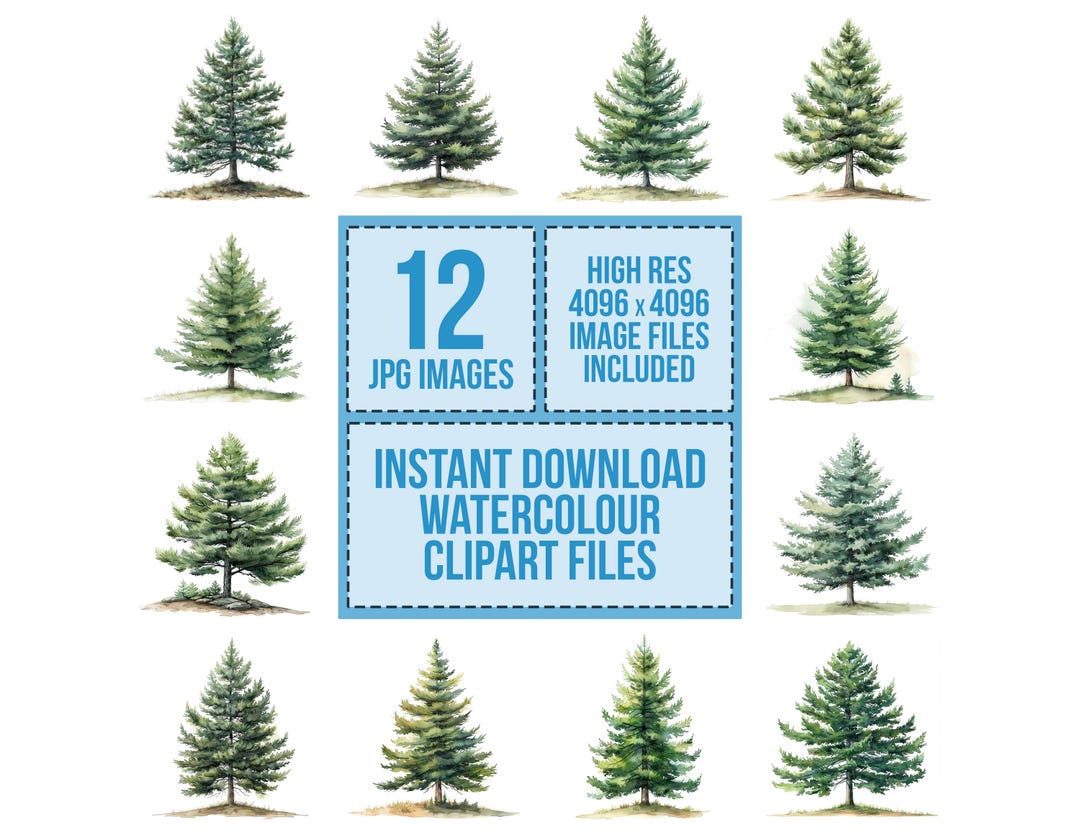 12 Pine Tree Clipart, Evergreen Tree Clipart, Printable Watercolor ...