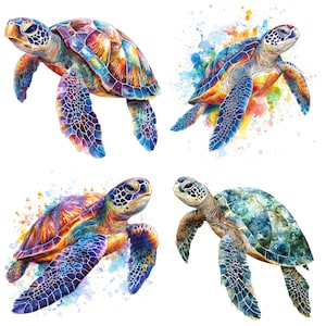 Watercolor Sea Turtle PNG Clipart, 12x Marine Life Clip Art Set ...