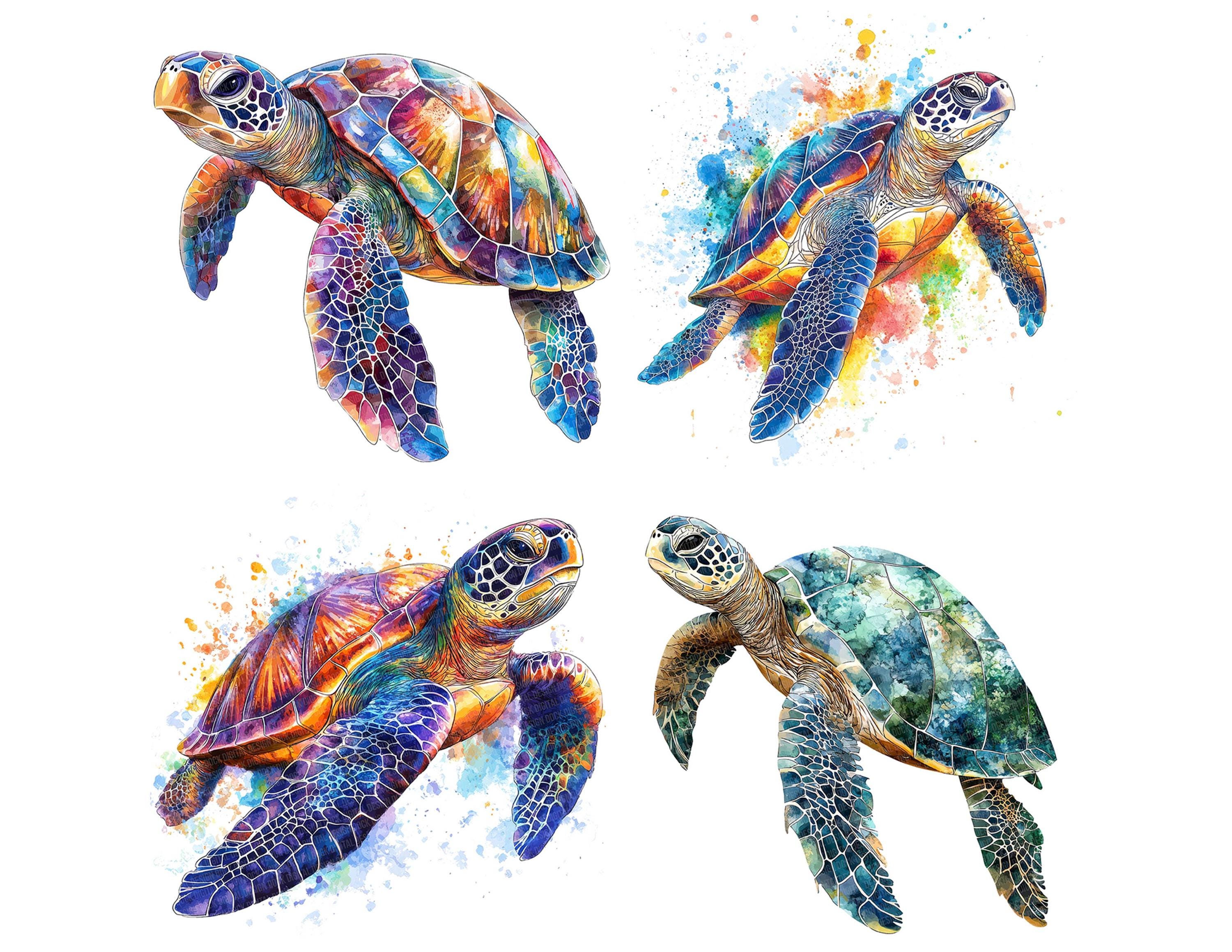 Watercolor Sea Turtle PNG Clipart, 12x Marine Life Clip Art Set ...