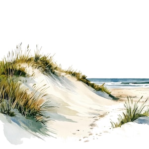 12x Sand Dune PNG Clipart, Watercolor Coastal Grass Clip Art Set ...