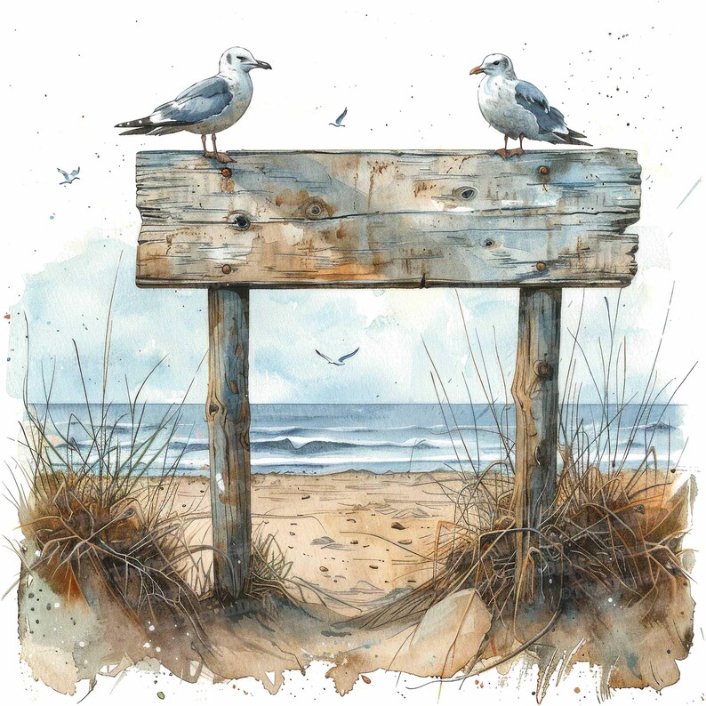 12 Seagull Beach Sign Clipart, Coastal Bird and Sign Clipart, Printable ...