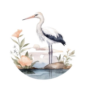 12x Watercolor Stork Clipart, Stork Design Clipart, Printable ...
