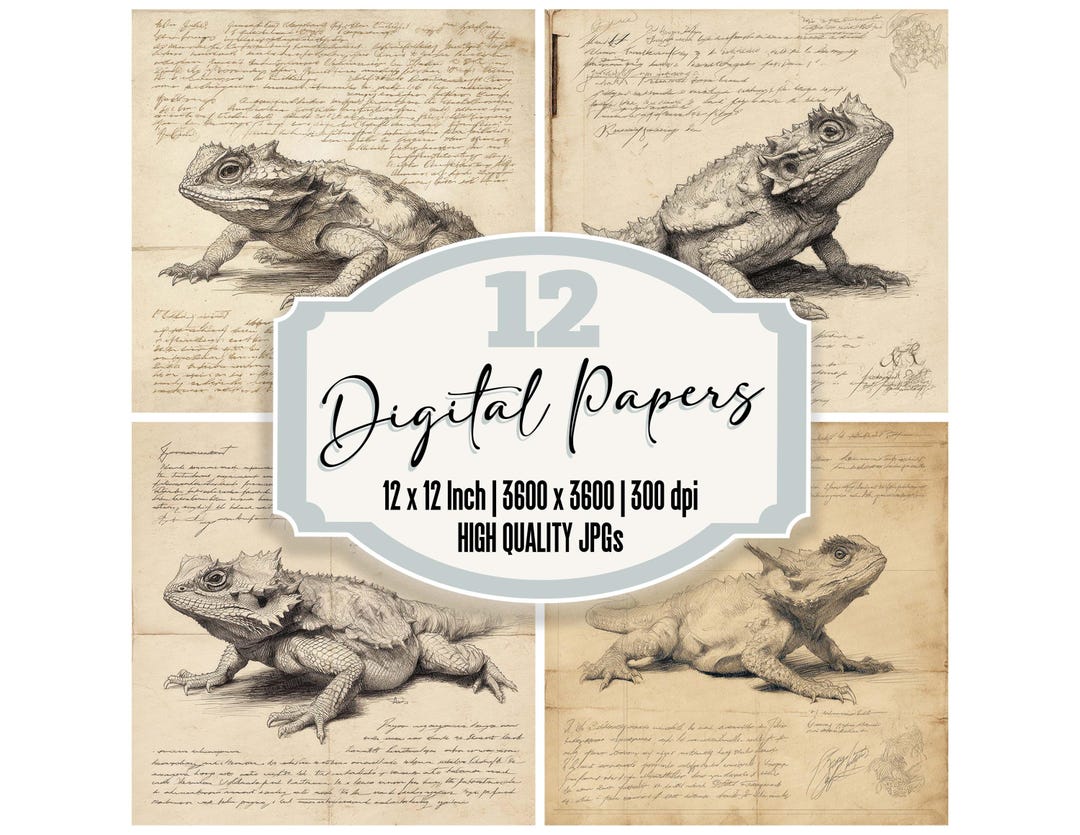 12x Horned Lizard Sketch Junk Journal Paper Vintage Digital Paper Pack ...