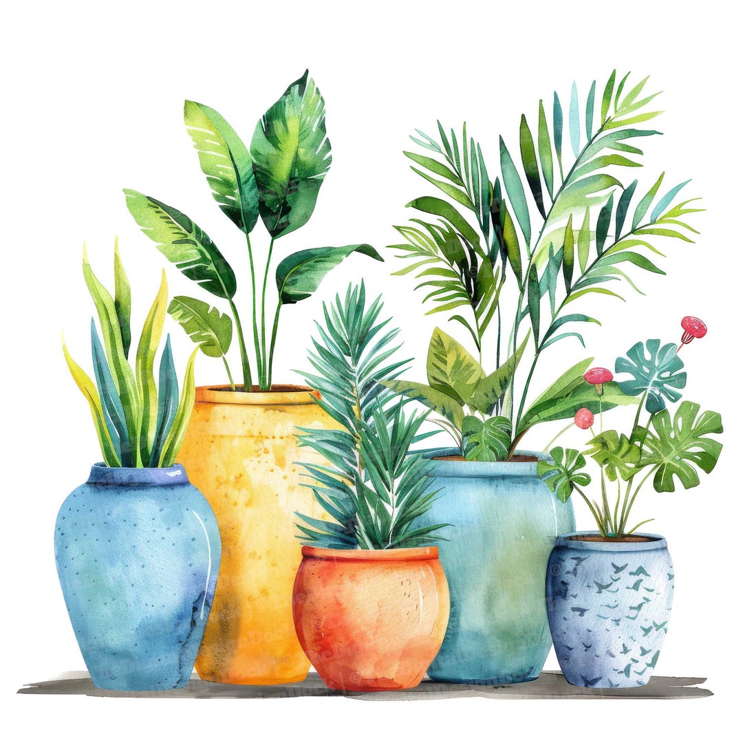 12x Potted Tropical Plants Clipart, Pot Floral Clipart, Printable ...