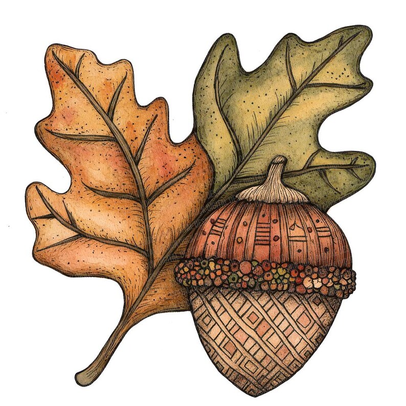 Acorn PNG Clip Art, 12x Folk Acorn and Leaf Clipart Set, Printable ...