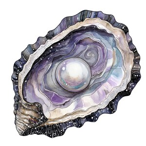 Folk Oyster Clip Art, 12x Oyster With Pearl PNG Clipart Set, Watercolor ...