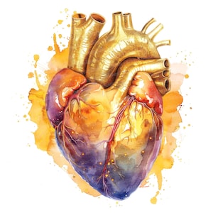 12x Gold Human Heart Clipart, Golden Hearts Clipart, Printable ...