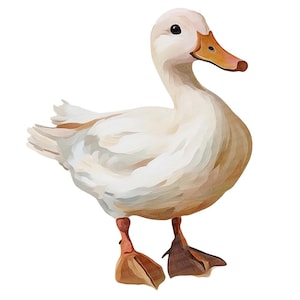 Duck PNG Clipart, 12x Oil Painted Farm Duck Clip Art Set, Printable ...