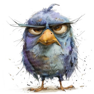 12x Grumpy Bird Clipart, Cartoon Bird Character Clipart, Printable ...
