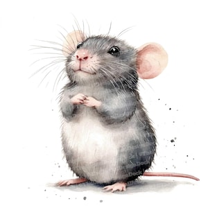 Rat Clip Art, 12x Watercolor Pet Rat Clipart Set, Printable Rat Art ...