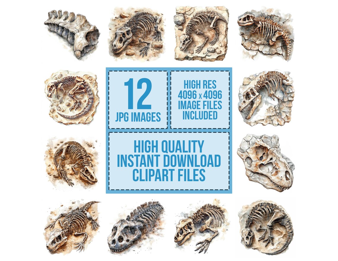 12 Dinosaur Fossil Clipart, Watercolor Prehistoric Skeleton, Printable ...