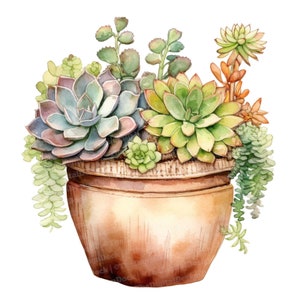 12x Potted Succulents Clipart, Pot Plants Floral Clipart, Printable ...