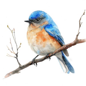 12 Bluebird Clipart, Watercolor Bird Clipart, Printable Watercolor ...