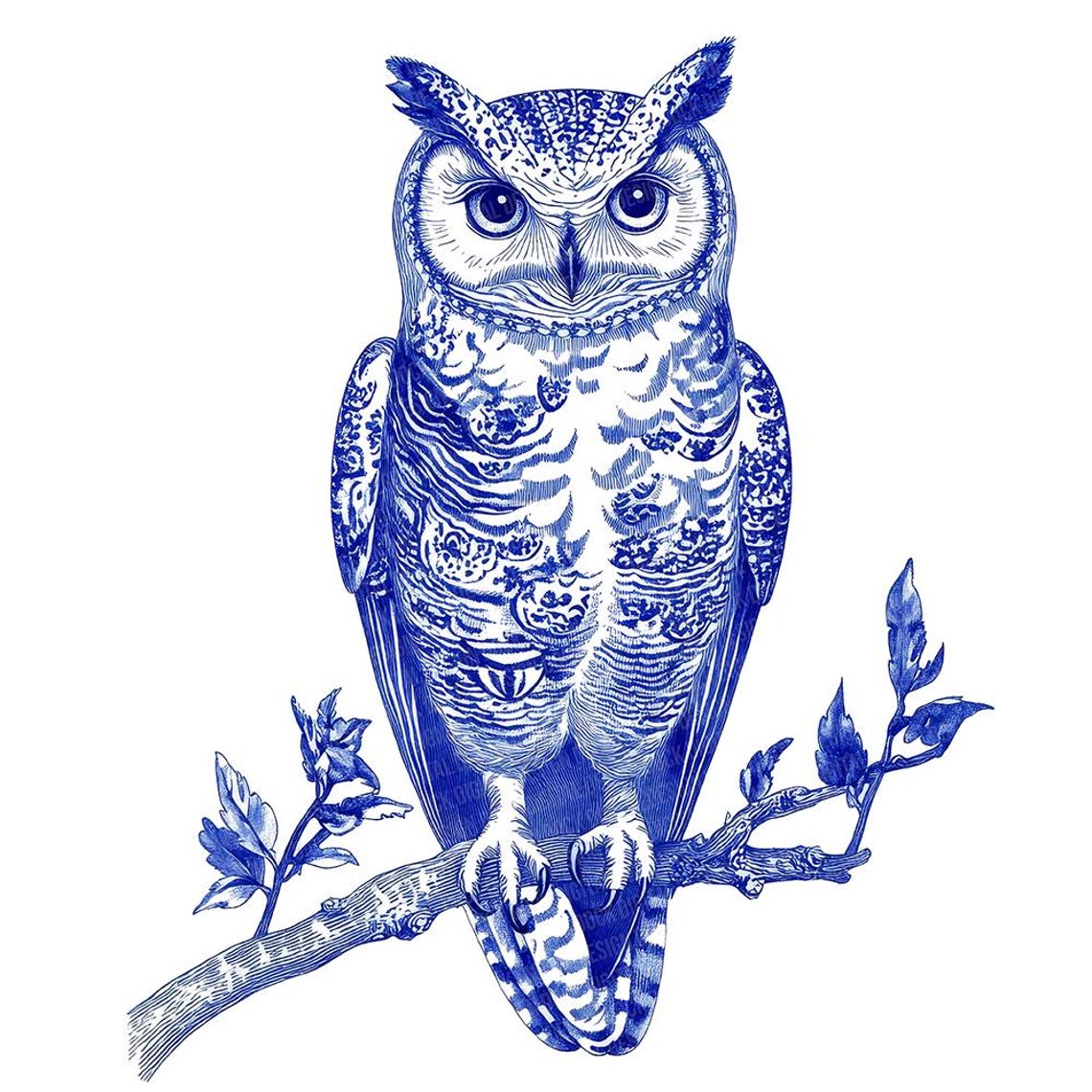 Delft Blue Owl Clipart, 12x Watercolor Owl PNG Set, Printable Bird Clip ...
