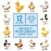 Duck PNG Clipart, 12x Oil Painted Farm Duck Clip Art Set, Printable ...