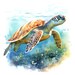 Sea Turtles Clipart, 12 Jpgs, Ocean Wildlife Clip Art, Printable Image ...
