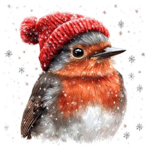 Christmas Robin Clip Art, 12x Winter Bird Clipart Set, Red Hat Robin ...