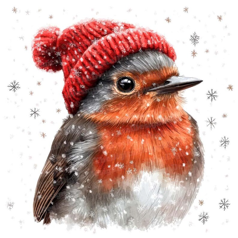 Christmas Robin Clip Art, 12x Winter Bird Clipart Set, Red Hat Robin ...