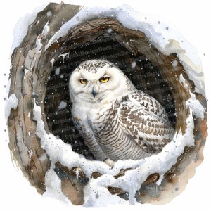 Snowy Owl Clipart, 12 Jpgs, Winter Snow Owls Clip Art, Printable Image ...