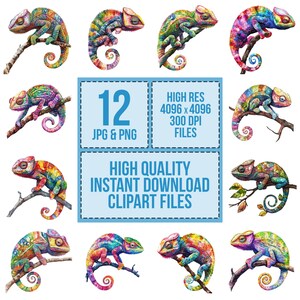Neon Chameleon PNG Clipart, 12x Colorful Reptile Clip Art Set ...