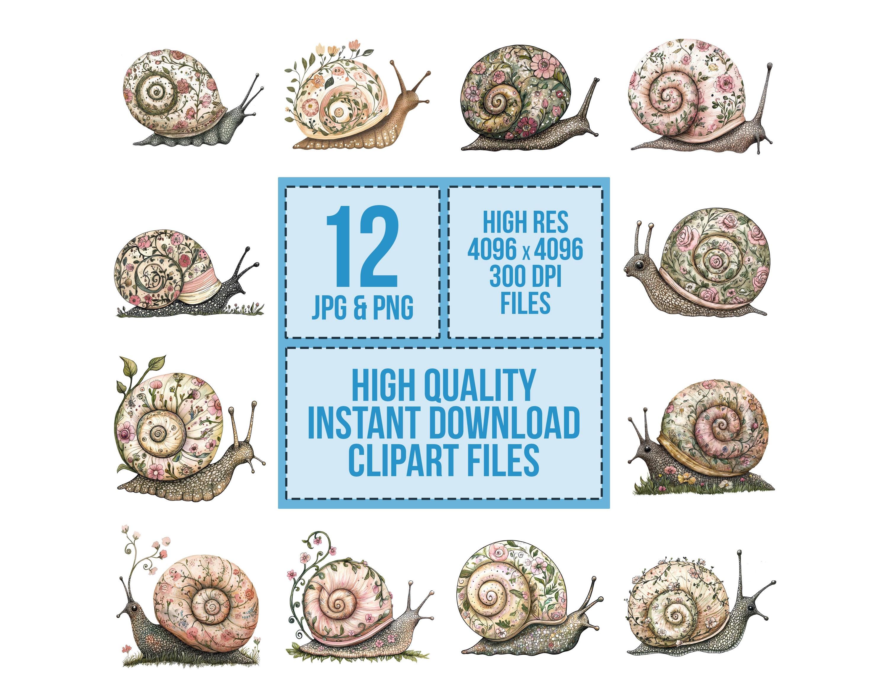 Snail PNG Clip Art, 12x Folk Art Snail Clipart Set, Floral and Vine ...