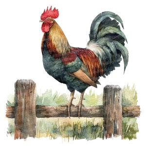 12x Farm Cockerel Clipart, Farm Fence Clipart, Printable Watercolor ...