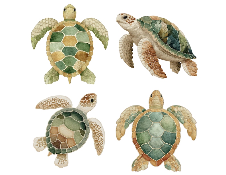 Turtle PNG Clipart, 12x Fabric Style Ocean Animals Clip Art Set ...