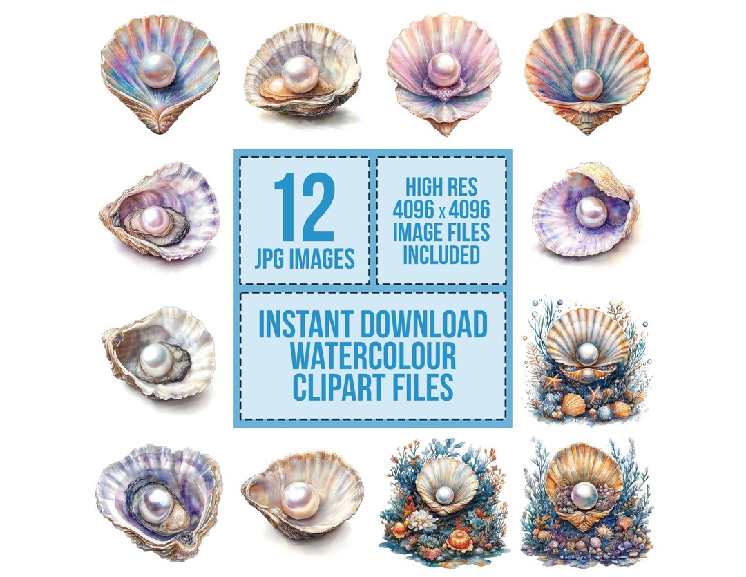 12 Pearl in Shell Clipart, Watercolor Oyster Clipart, Printable ...