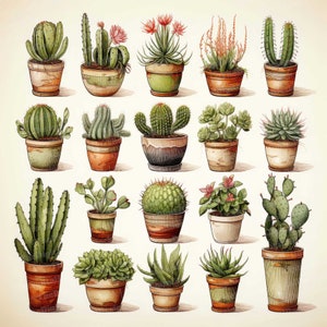 12x Potted Cactus Clipart, Pot Plants Floral Clipart, Printable ...