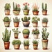 12x Potted Cactus Clipart, Pot Plants Floral Clipart, Printable ...
